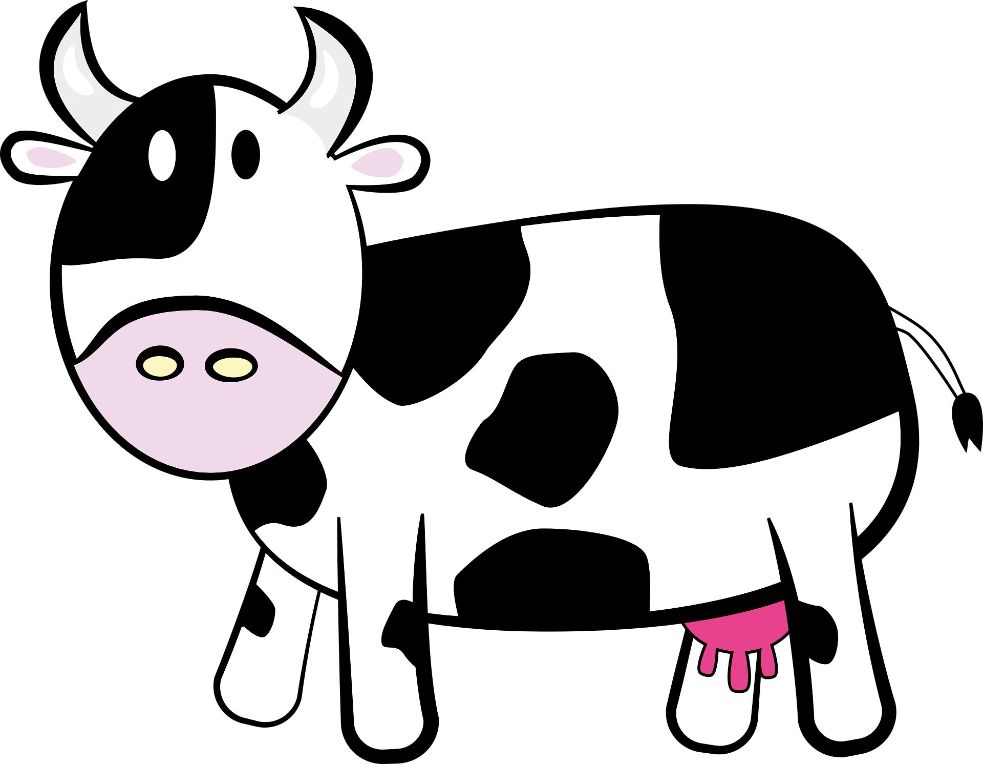 How to Draw a Cow: Easy and Simple Step-by-Step Guide